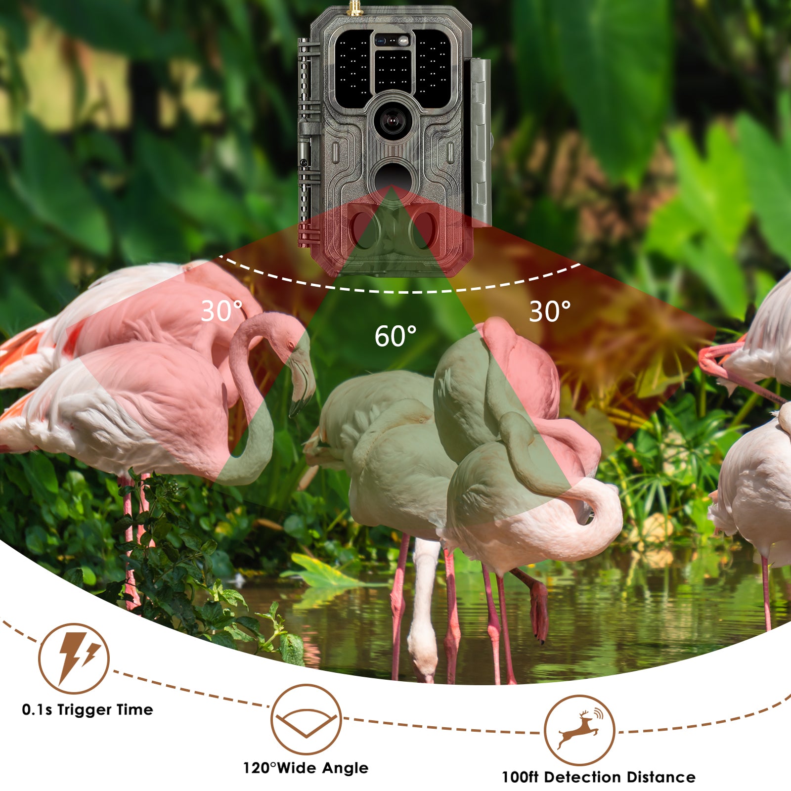 Bundle 4G LTE Cellular Trail Camera 32MP 1296P with SIM Card & 32G SD – BlazeVideo USA