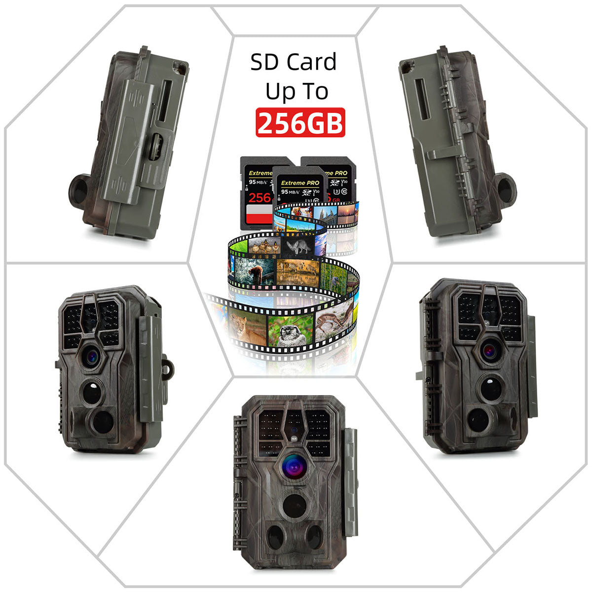 Professional Game & Trail Cameras with Night Vision and Full HD Photo ...