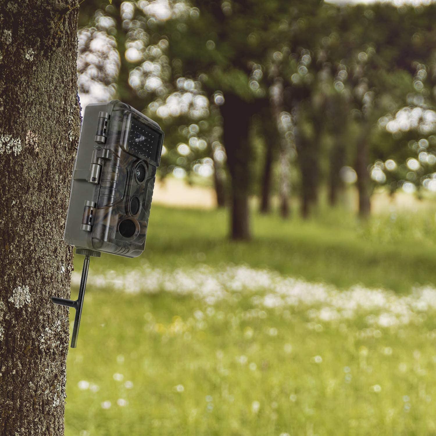 2-Pack Trail Camera Mount Tree Holder, Universal Game Camera Mounting ...