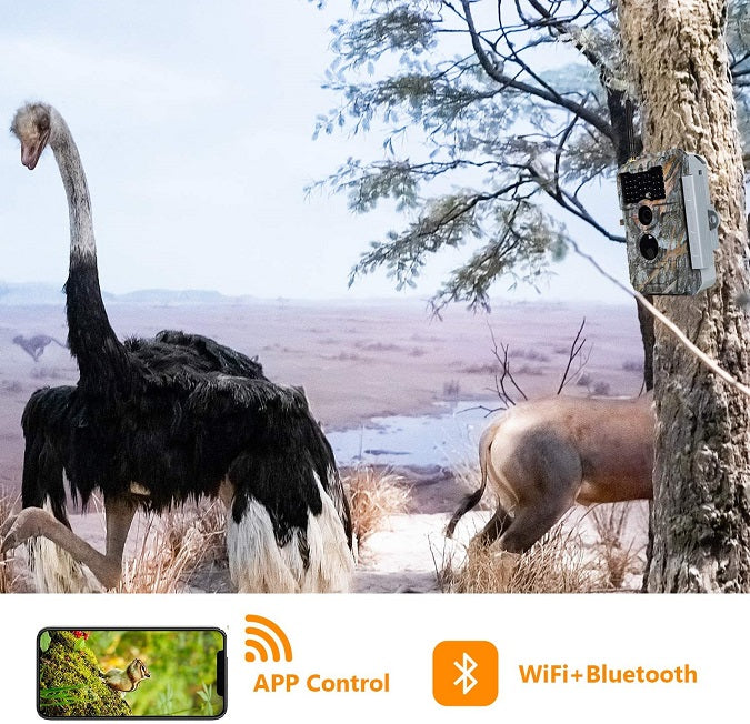Wireless WIFI Trail Cameras, Bluetooth WiFi Game & Deer Cameras ...